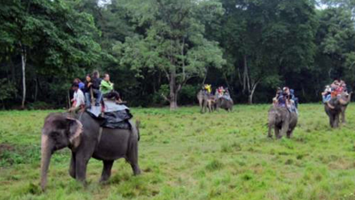 Jungle Safari en Chitwan
